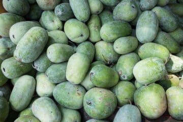 Ash Gourd Juice: A Natural Detox Recipe - Holistic Chef Academy