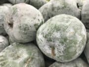 Ash Gourd Juice: A Natural Detox Recipe - Holistic Chef Academy