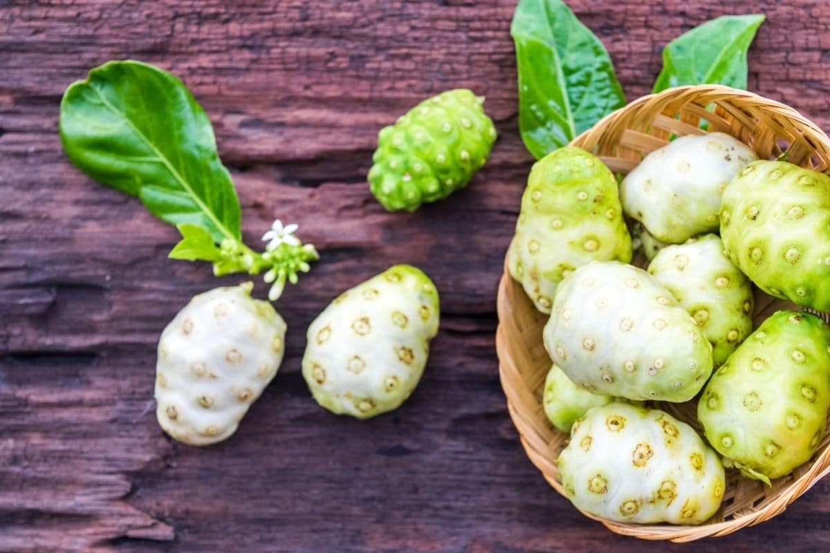 Thai Vegan Recipes That Everyone Will Love