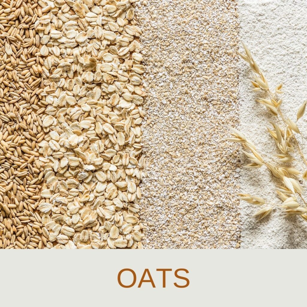 Easy Oat Recipes for a Healthy Start to the Day - Holistic Chef Academy