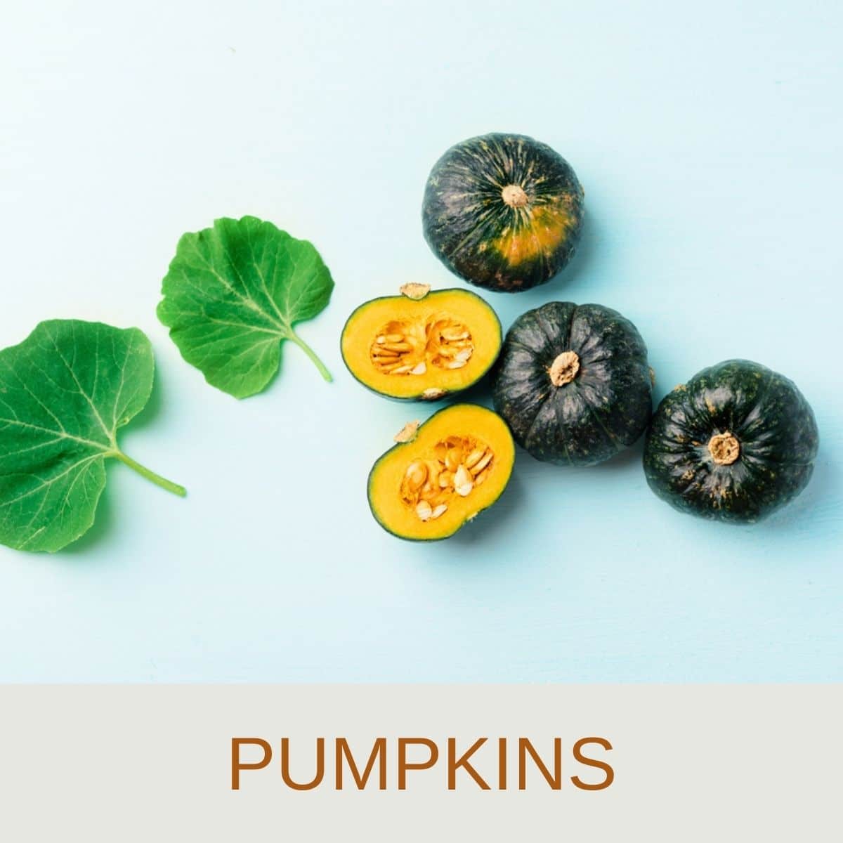 Pumpkin Recipes - All you need to know - Holistic Chef Academy