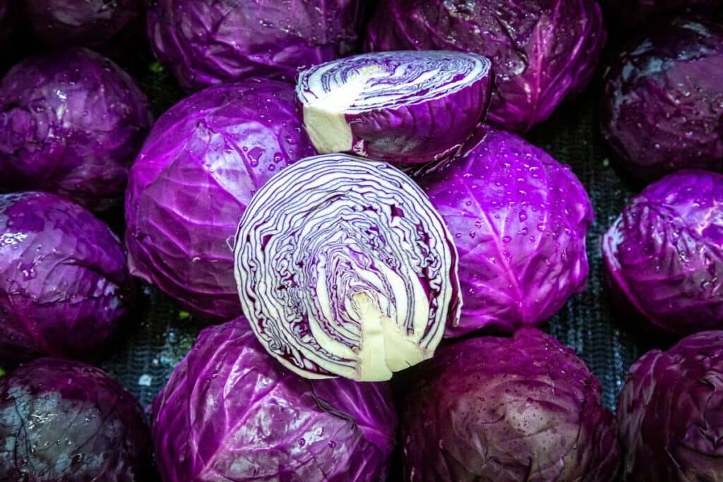 Unleash the Benefits of Red Cabbage Juice - Holistic Chef Academy